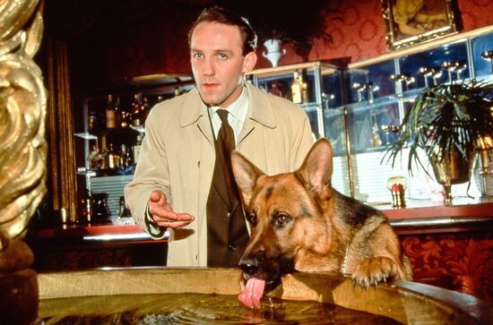 Kommissar Rex – Die Geschichte einer Kultserie auf ORF 3 am 09.10.2024 ...