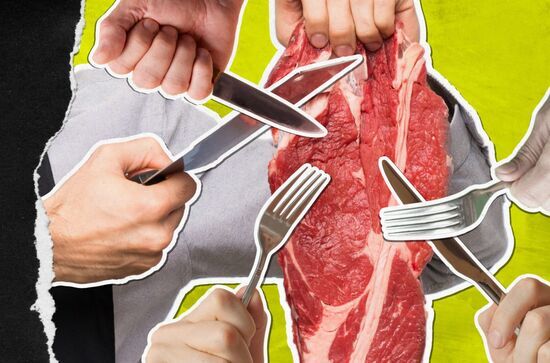 #WTF – Streit ums Essen: Tier oder Tofu? auf ZDF Info am 18.09.2024 ...